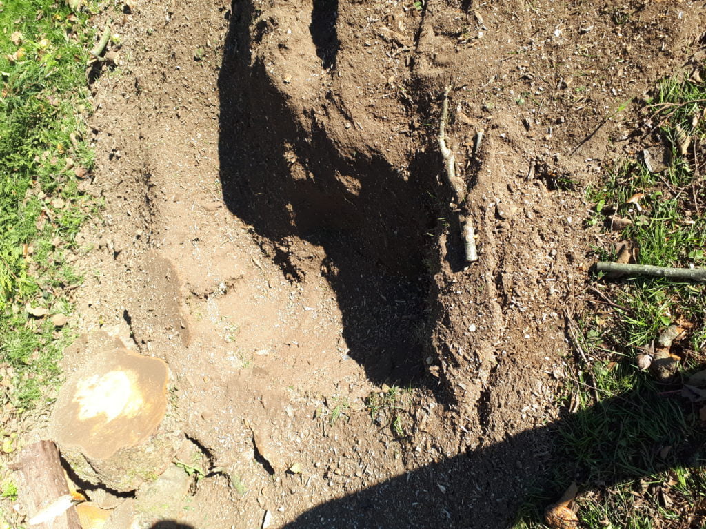 How long does it take to grind out a tree stump? - Free Stump removal ...